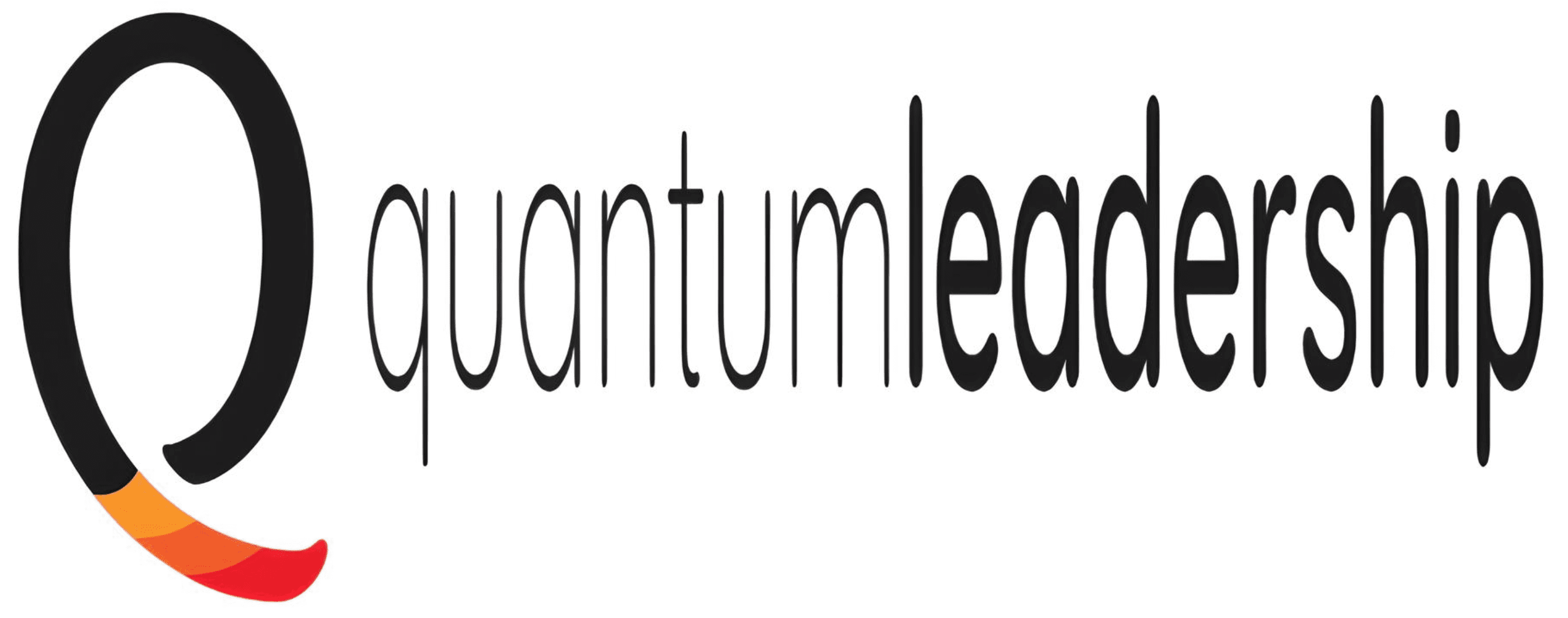 Business Simulations for Leaders - Quantum Leadership